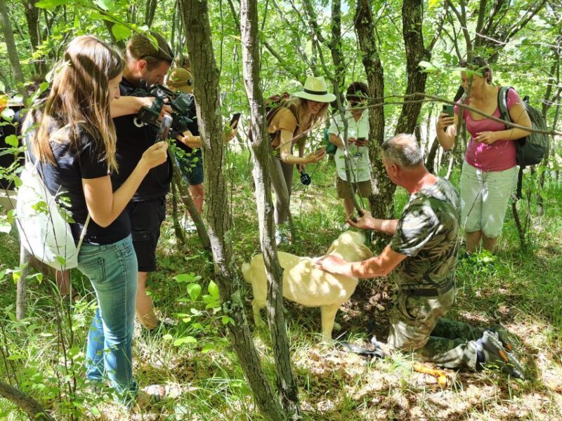 Gaon - Istria: Truffles Hunting & Cooking & Tasting - The Cooking Demonstration