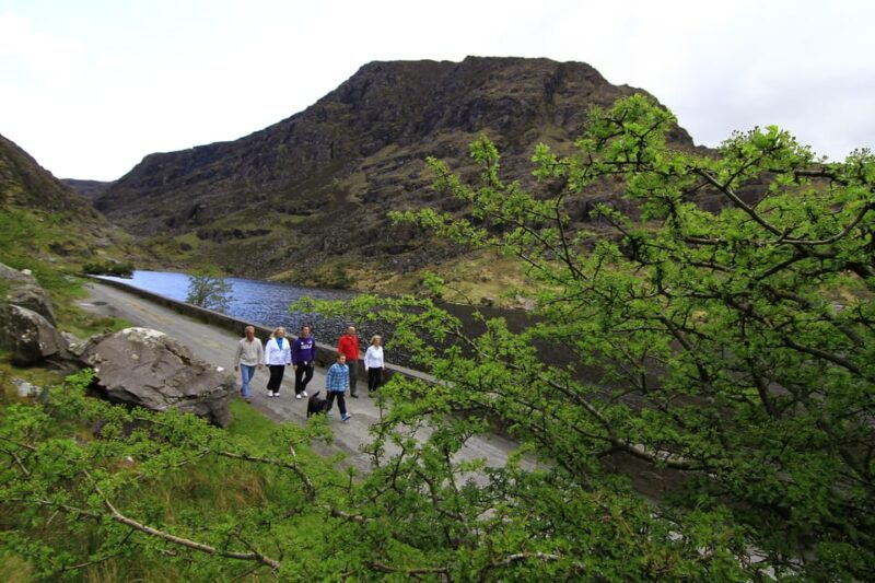 Gap of Dunloe & Lakes of Killlarney Boat Tour - Key Points