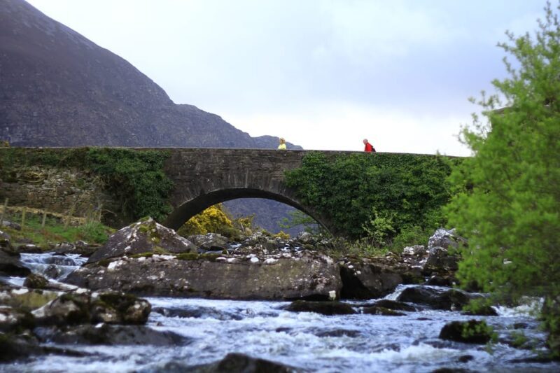 Gap of Dunloe & Lakes of Killlarney Boat Tour - A Detailed Look at the Tour Experience