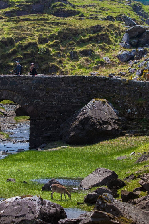 Gap of Dunloe & Lakes of Killlarney Boat Tour - Why Choose This Tour?
