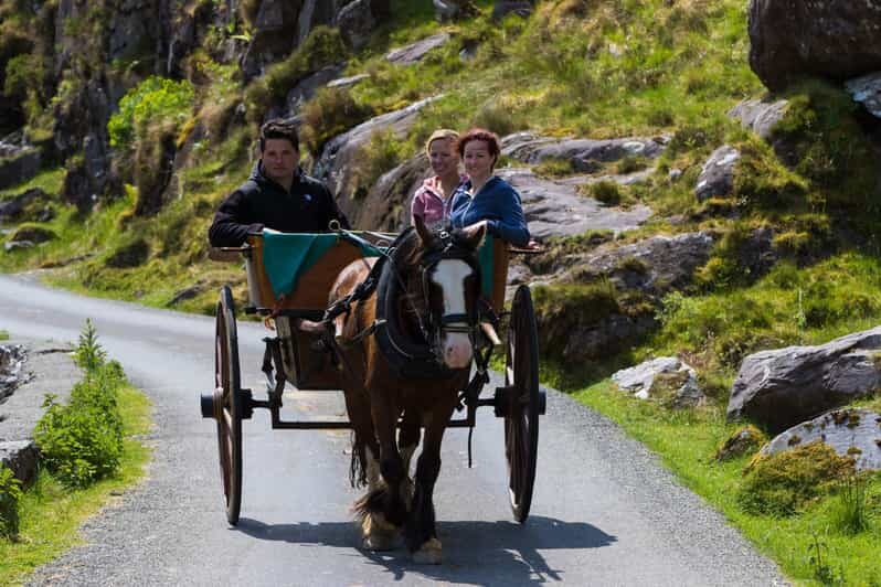 Gap of Dunloe & Lakes of Killlarney Boat Tour - Who Would Enjoy This Tour?