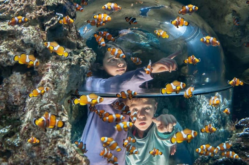 Gardaland SEA LIFE Aquarium: Open Date Entry Ticket - Key Points