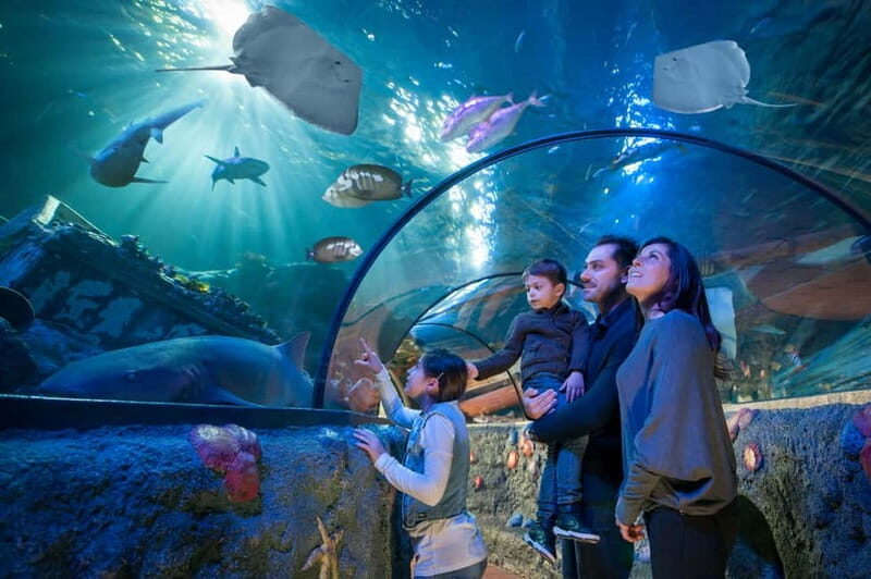 Gardaland SEA LIFE Aquarium: Open Date Entry Ticket - An In-Depth Look at the Experience
