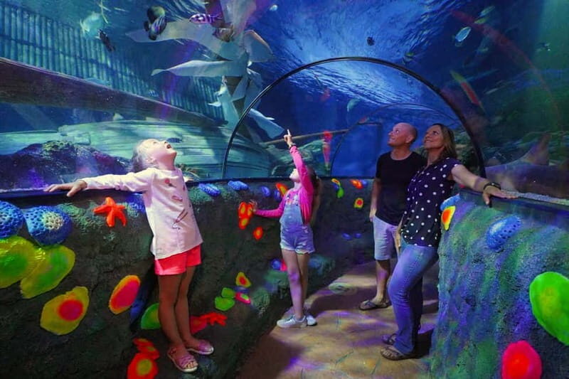Gardaland SEA LIFE Aquarium: Open Date Entry Ticket - Authentic Feedback from Visitors