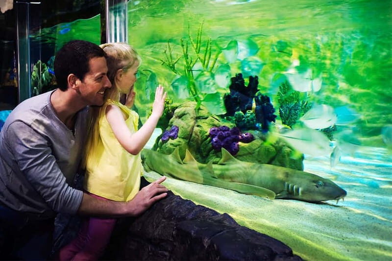 Gardaland SEA LIFE Aquarium: Open Date Entry Ticket - FAQ