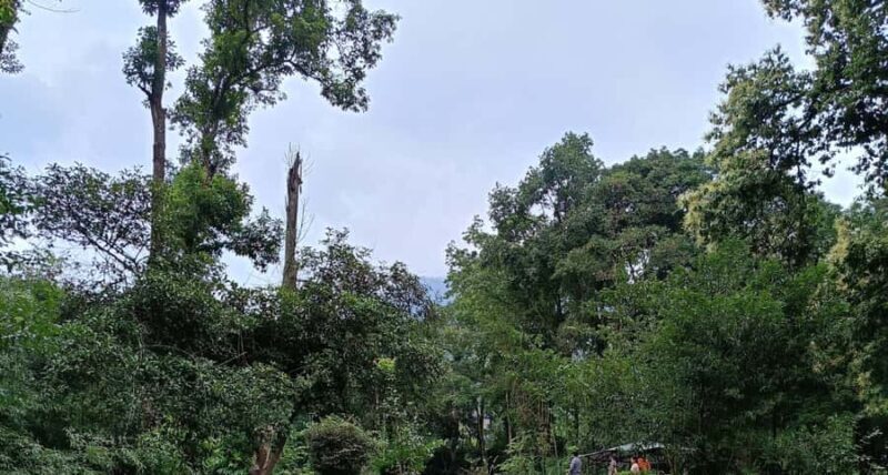 Garden & Botanical Sightseeing of Kathmandu Valley - Exploring the Garden & Botanical Sightseeing of Kathmandu Valley