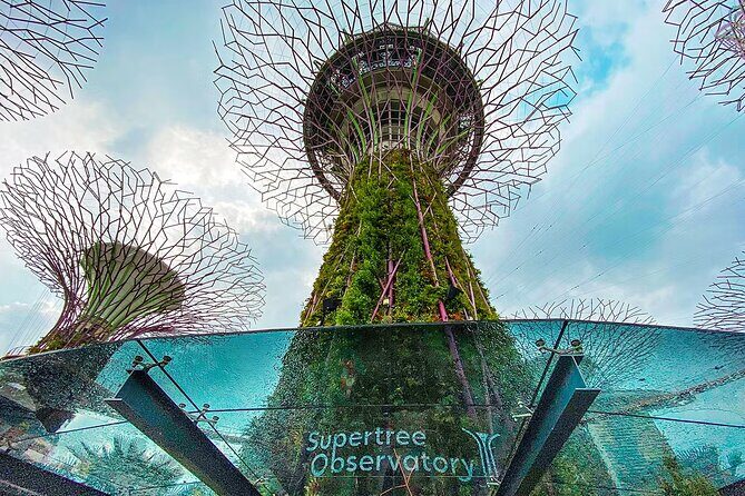 Garden By Bay Cloud Forest, Flower Dome & Supertree Observatory - Introducing the Gardens by the Bay Experience