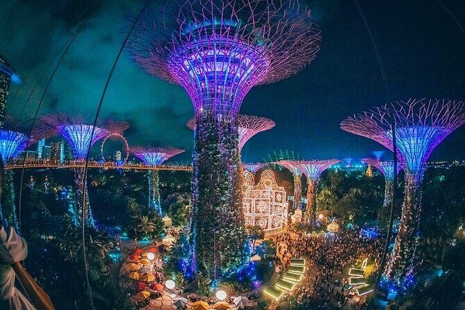 Garden by the Bay Ticket Only Optional Skypark Observation Deck - Key Points