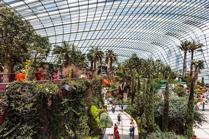 Garden by the Bay with two domes (Shared transfer) - An In-depth Look at the Garden Experience