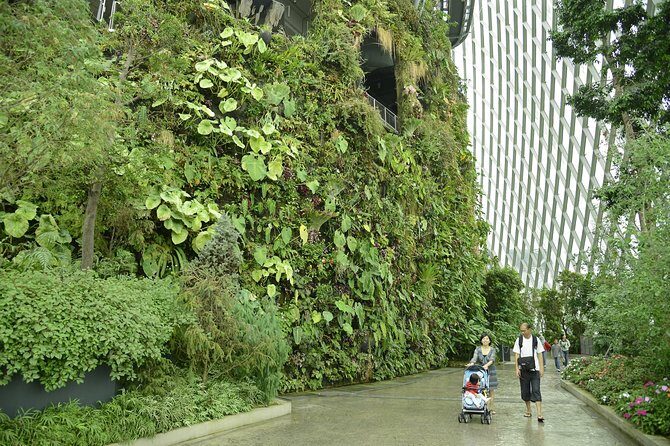Garden by the Bay with two domes (Shared transfer) - FAQs