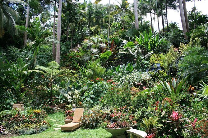 Garden Delight Full-Day Tour in Barbados - An In-Depth Look at the Garden Experience