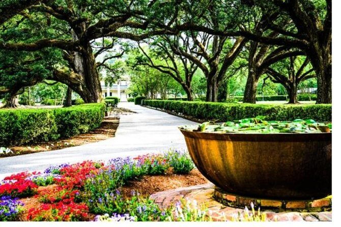Garden District History and Homes Walking Tour - Exploring the Garden District: A Walk Through History and Elegance