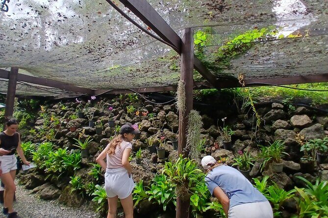 Garden of Sleeping Giant Tour with Tifajek Mud Pool and Hotspring - Key Points