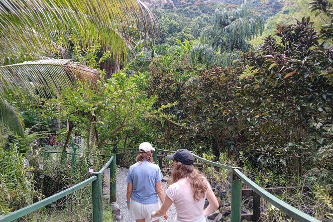 Garden of Sleeping Giant Tour with Tifajek Mud Pool and Hotspring - Authentic Experiences and Practical Tips