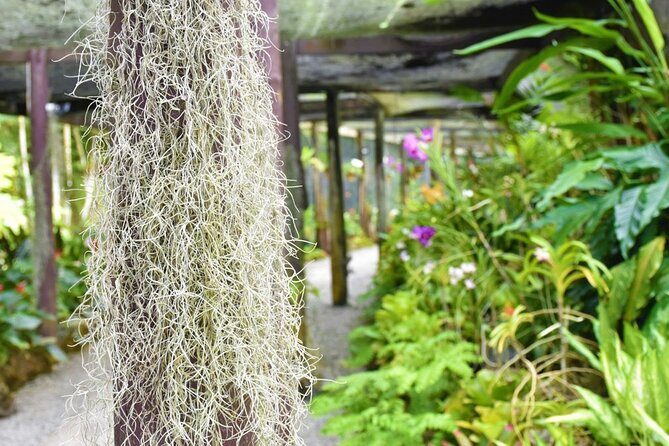 Garden of Sleeping Giant Tour with Tifajek Mud Pool and Hotspring - The Sum Up