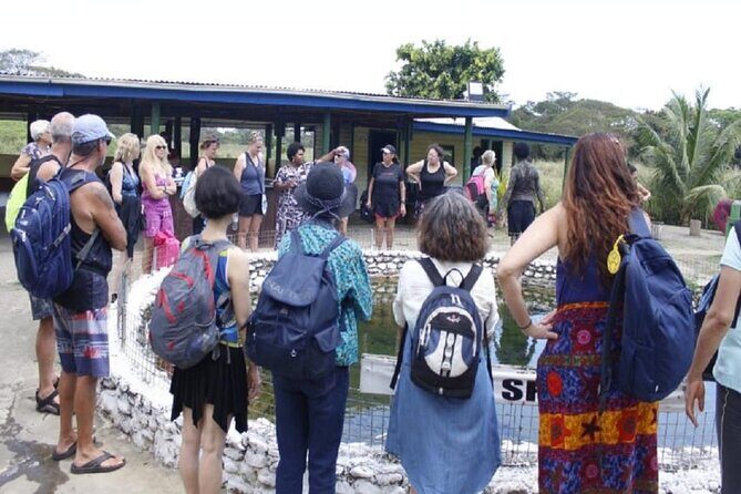 Garden of Sleeping Giant with Sabeto Hotspring Mudpool Tour - Transportation and Group Size