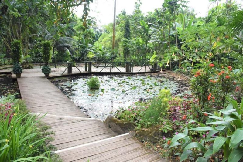 Garden of Sleeping Giant with Tifajek Mudpool Hotspring Tour - The Therapeutic Benefits and Social Fun