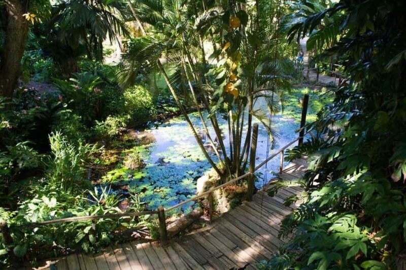 Garden of Sleeping Giant with Tifajek Mudpool Hotspring Tour - Who Should Consider This Tour