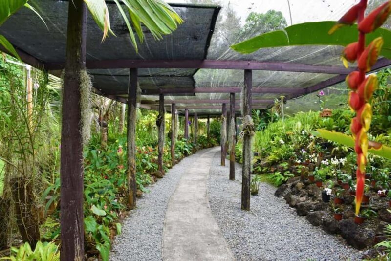 Garden of Sleeping Giant with Tifajek Mudpool Hotspring Tour - Final Thoughts
