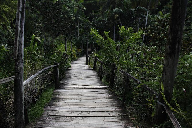 garden of the sleeping giant and mudpool tour combo - A Practical Guide to the Garden & Mud Pool Tour Combo