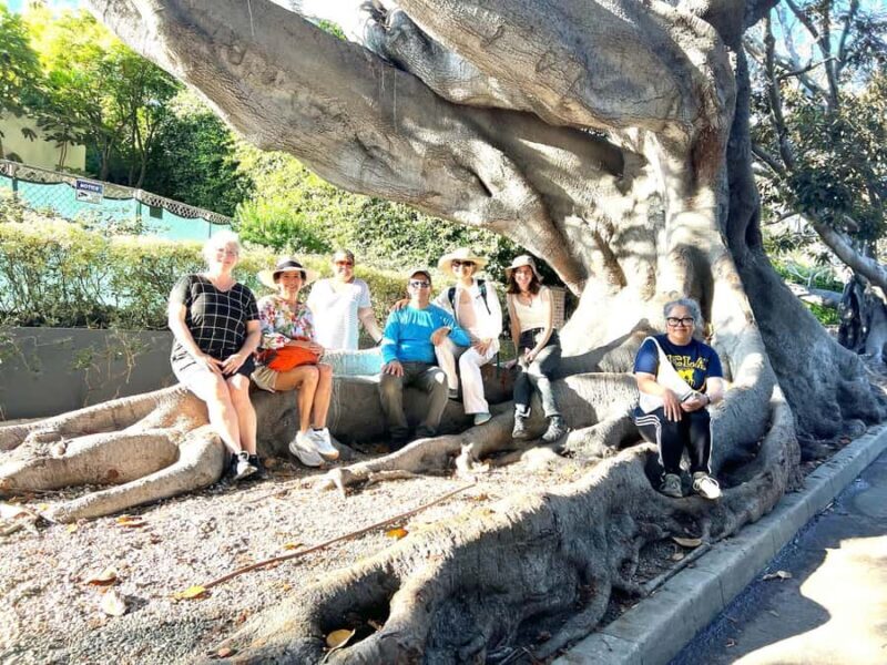 Garden Paths and Architectural Gems - An In-Depth Look at the Garden Paths and Architectural Gems Tour