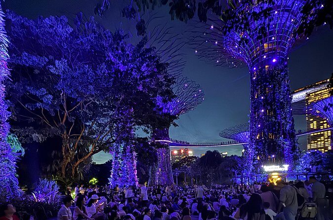 Garden Rhapsody, Spectra Show & Singapore River Cruise Night Tour - The Sum Up: Is This Tour Worth It?