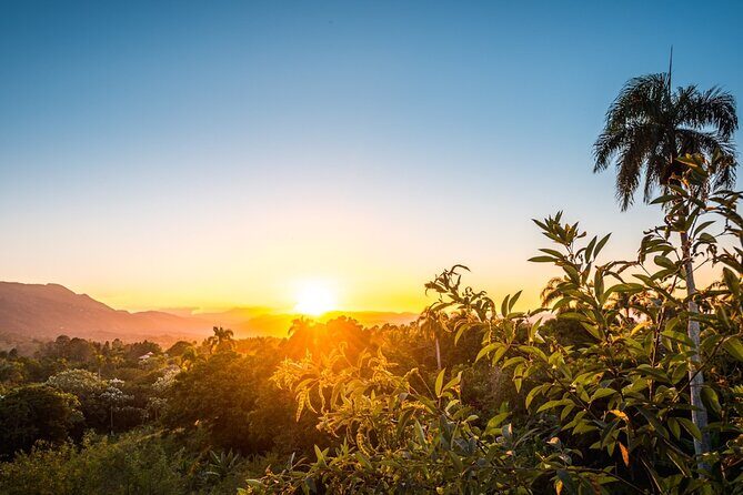 Garden Suites by Melia - Round Trip Shuttle - Punta Cana Airport - Authentic Feedback from Travelers