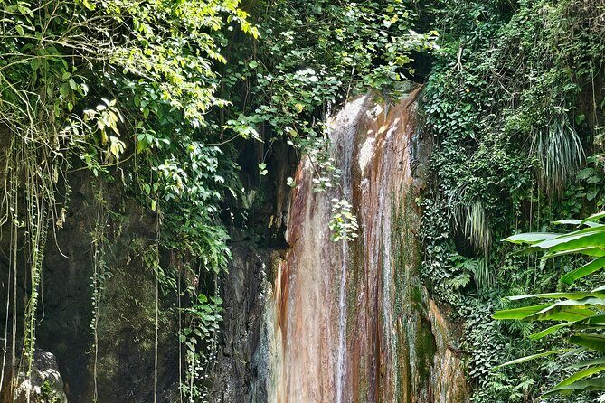 Gardens and Nature Chauffeur Adventures St. Lucia - The Sum Up