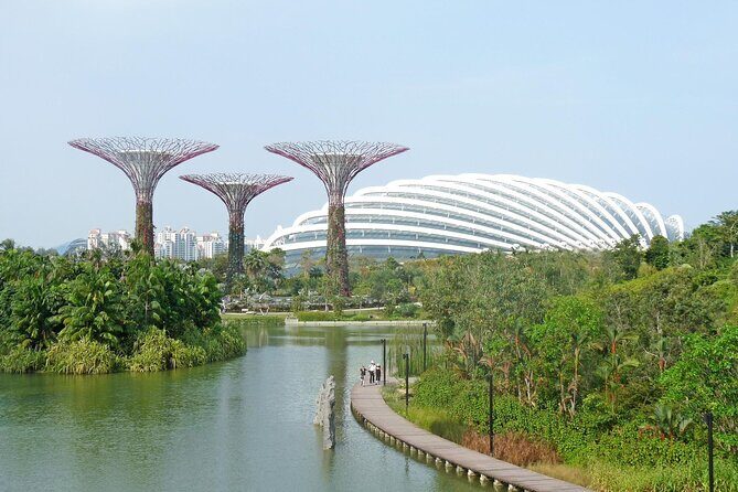 Gardens by the Bay Entry Ticket - Introducing Our Review of the Gardens by the Bay Entry Ticket Tour