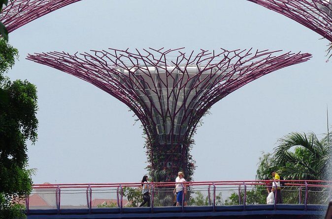 Gardens by the Bay Entry Ticket - Final Thoughts: Is This Tour Right for You?