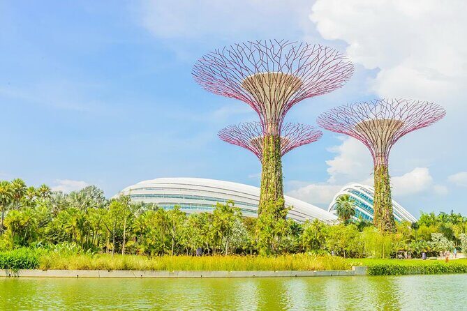 Gardens by the Bay Flower Dome and Cloud Forest Entry Ticket - Final Thoughts: Is It Worth It?