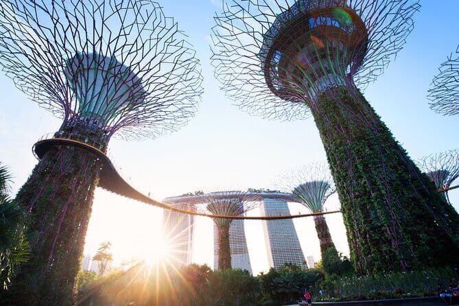 Gardens by the Bay Guided Tour - The Itinerary in Detail