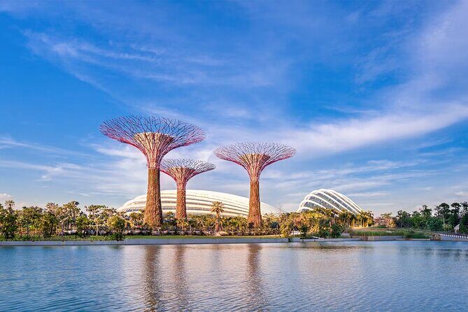 Gardens by the Bay & Marina Bay Sands Tickets - Who Is This Perfect For?