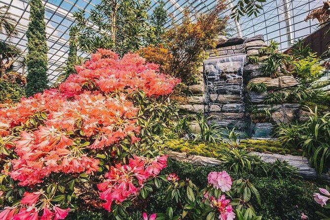 Gardens By The Bay Ticket - Who Should Book This Tour?