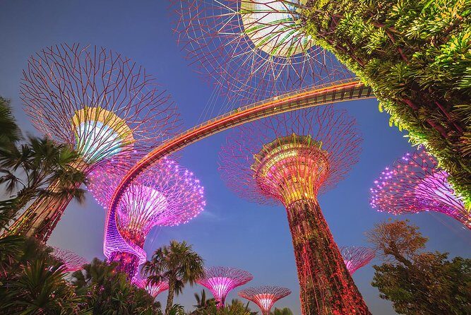 Gardens by the Bay with 2 Flower Dome + Marina Bay Sands Skypark - Introduction