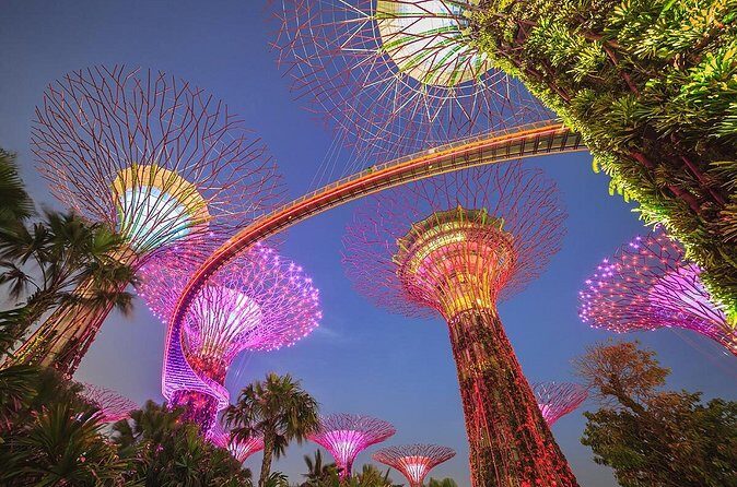 Gardens by the Bay with 2 Flower Dome + Marina Bay Sands Skypark - The Sum Up
