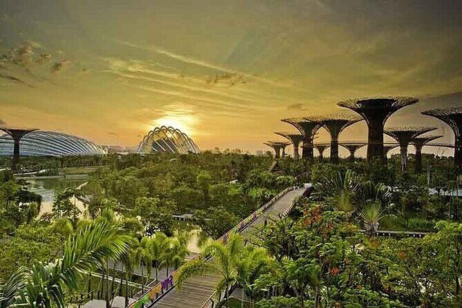 Gardens by the Bay with FD +CF featuring Jurassic World Singapore - The Practicalities: How the Tour Works