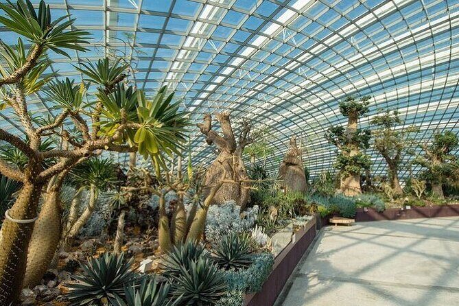 Gardens by the Bay with FD +CF featuring Jurassic World Singapore - Is This Tour Worth It?