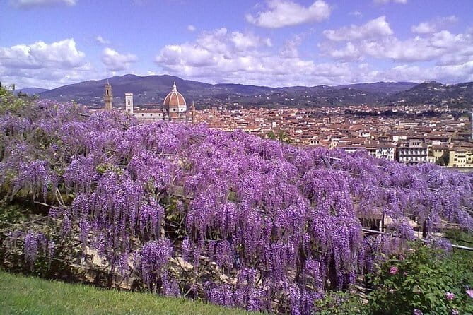 Gardens of Florence Walking Tour - Practical Considerations