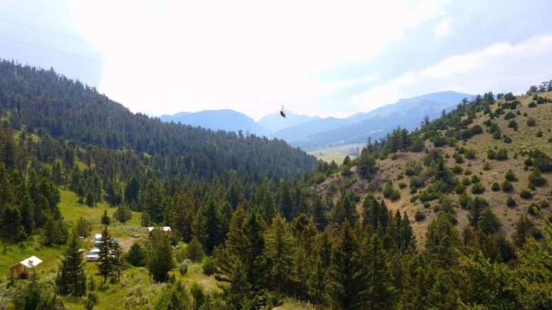 Gardiner: Guided Zipline EcoTour (3 hours) - Who Will Love This Tour