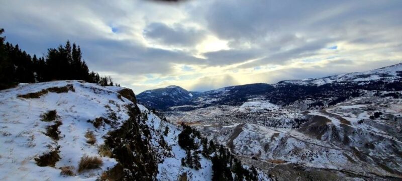 Gardiner: Yellowstone National Park Wildlife Guided Tour - The Sum Up