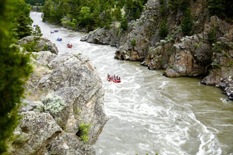 Gardiner: Yellowstone River Half-Day Whitewater Rafting - Authentic Insights from Reviewers