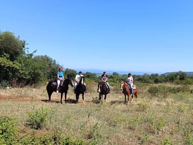 Gargano National Park: horseback riding - What Travelers Say