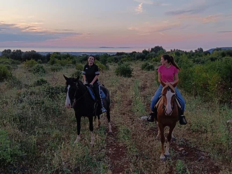 Gargano National Park: horseback riding - Who Will Love This Tour?