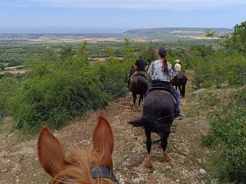 Gargano National Park: horseback riding - FAQs