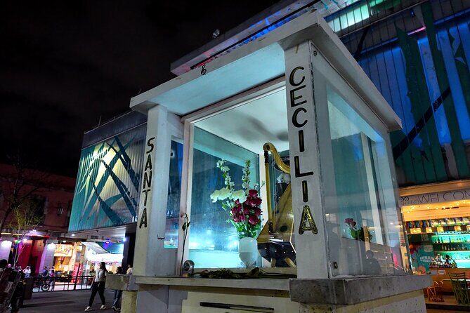Garibaldi Nights Tour - Introduction: A Night at Plaza Garibaldi