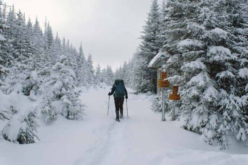 Gaspésie: National Park Entry Ticket with Snowshoe Rental - FAQ