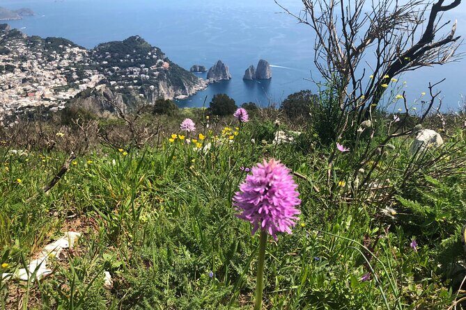 Gastronomic Hike on the Path of the Gods with Food Tasting - Details Matter: What You Need to Know