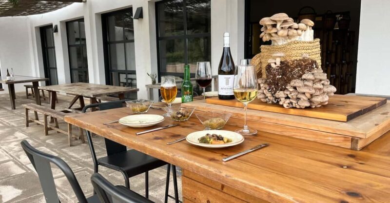 GASTRONOMIC MUSHROOM EXPERIENCE. Tour not included - The Sum Up: Who Will Love This?