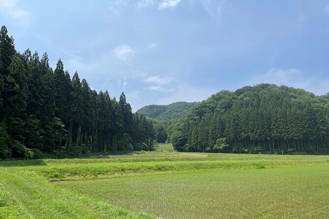 Gastronomic Sake Tasting Experience from Kanazawa or Komatsu - FAQ